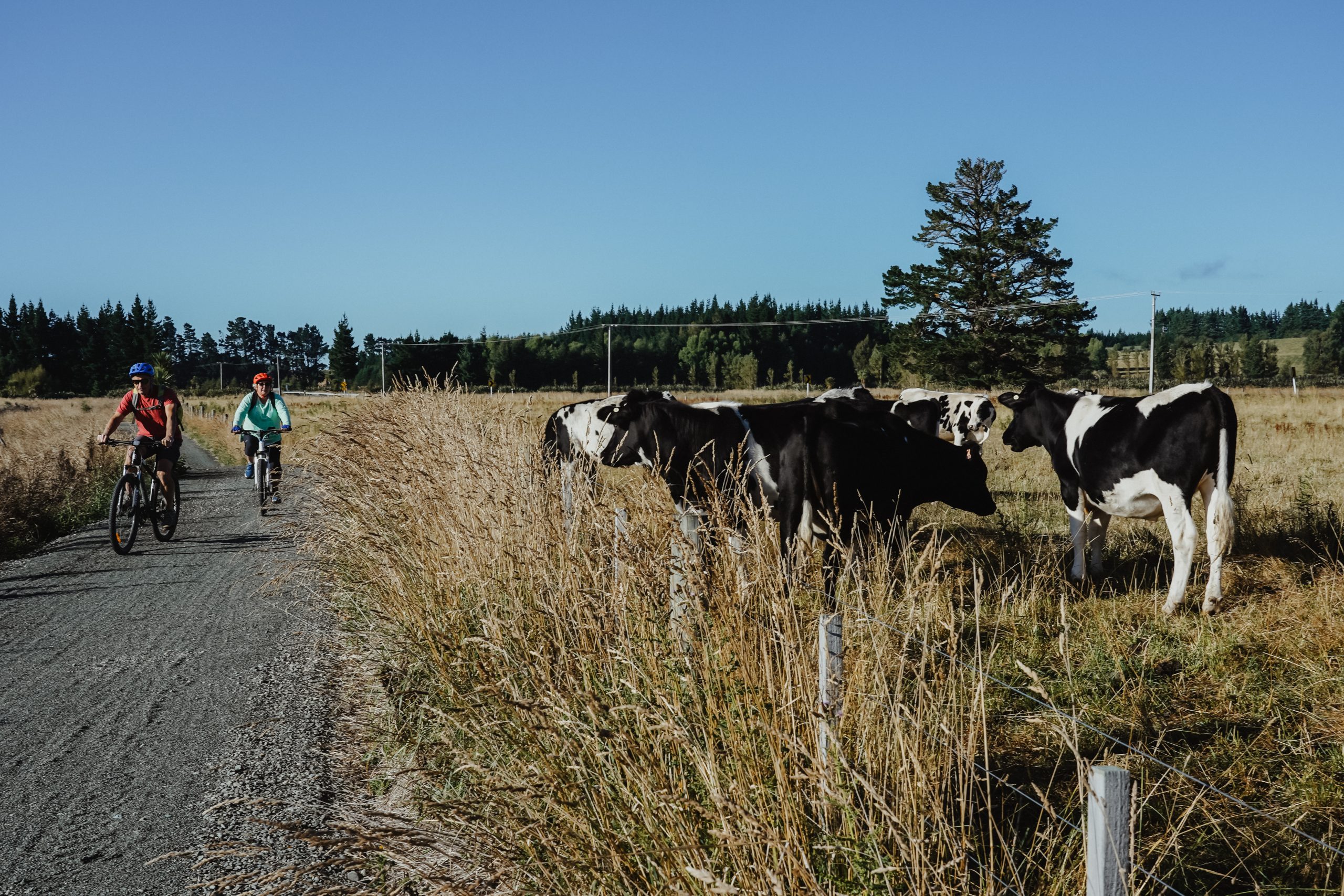Day rides - Around the Mountains